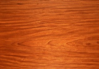 muwen图片图片-图行天下素材网